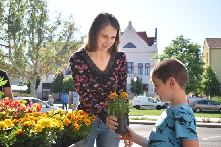 Cegléd város hivatalos honlapja